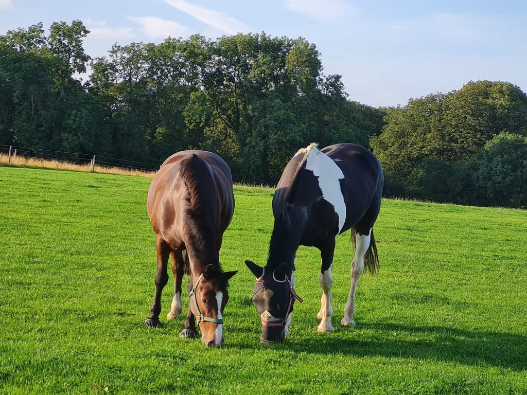 Somerby Equestrian Centre – Equestrian Centre